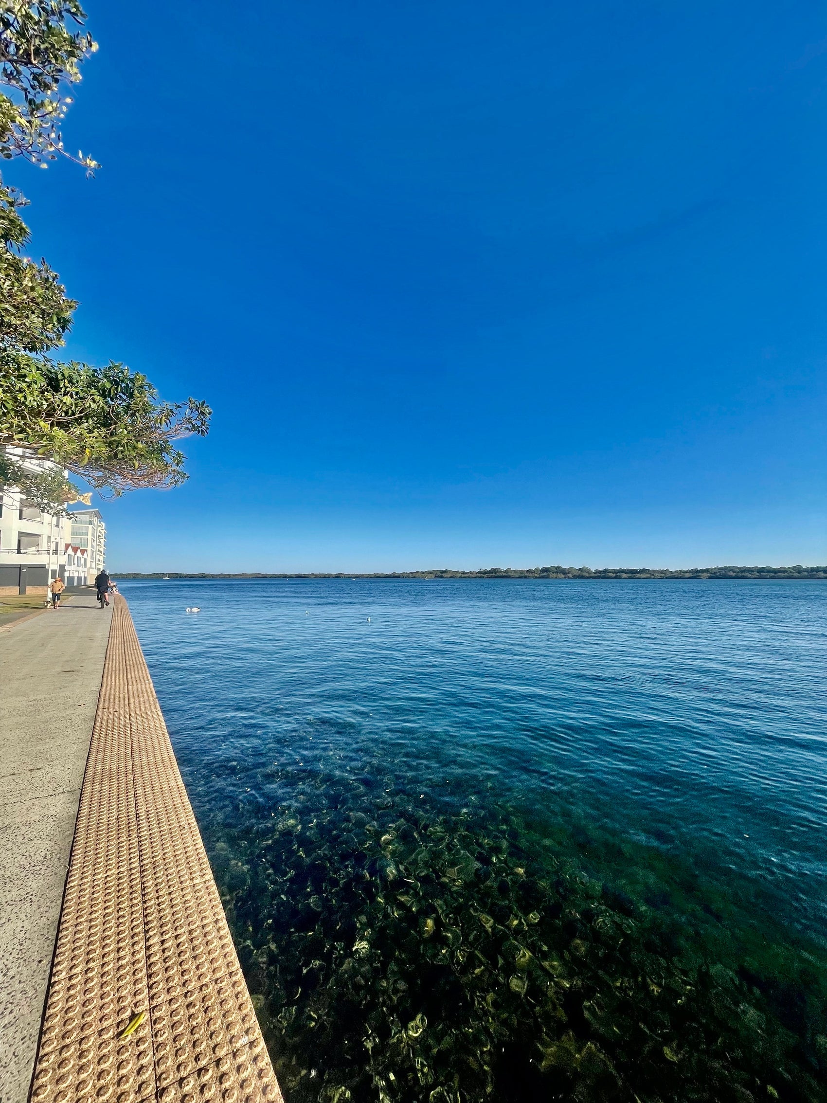 Ballina Richmond River Walk: Dog-Friendly Loop via Ramada & Fawcett ...