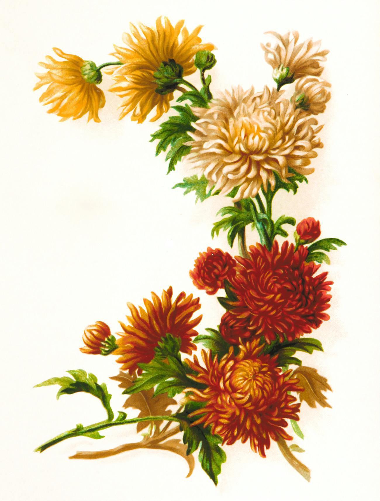 How To Paint Flowers: An Easy Tutorial For Beginners – Paint Juicy ...